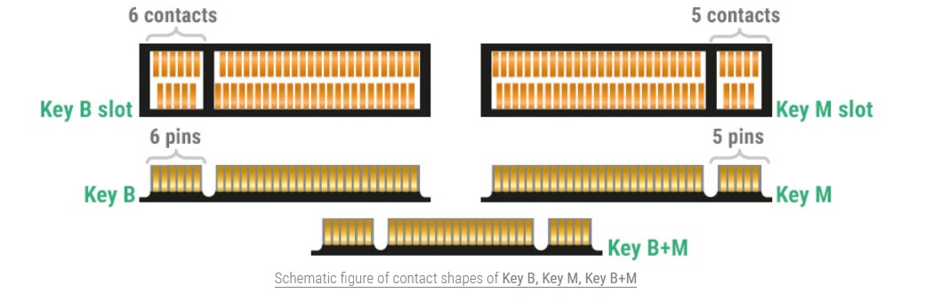 M.2 SSD Not Showing Up? Find Out How You Can Fix It! - Tech Inspection
