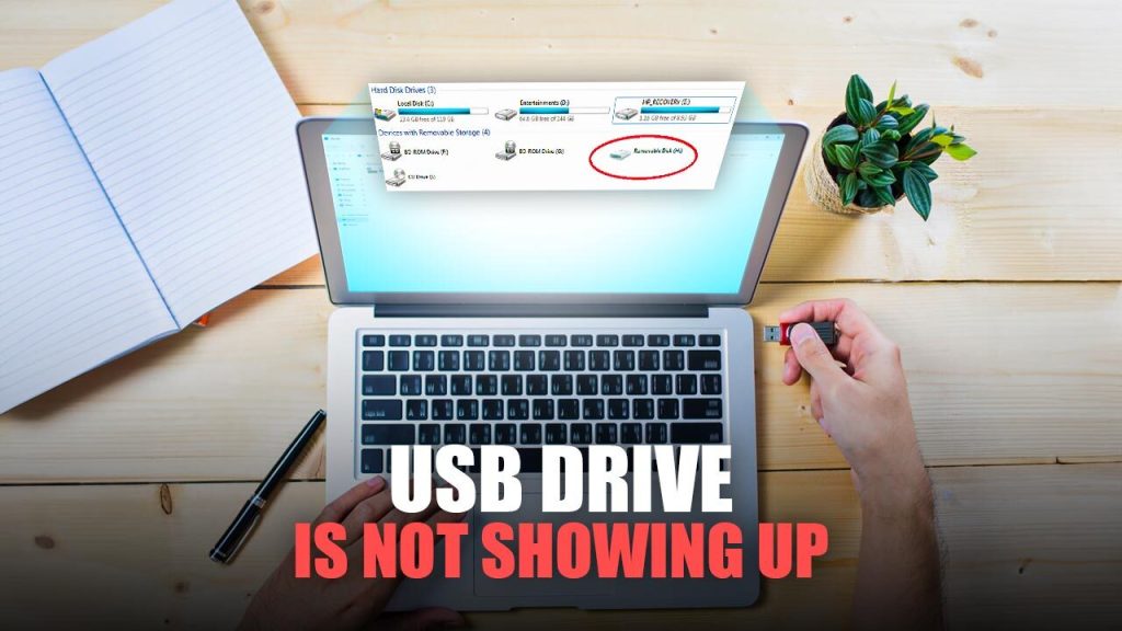 USB Drive Is Not Showing Up in Windows 10/11 – Causes and Fixes